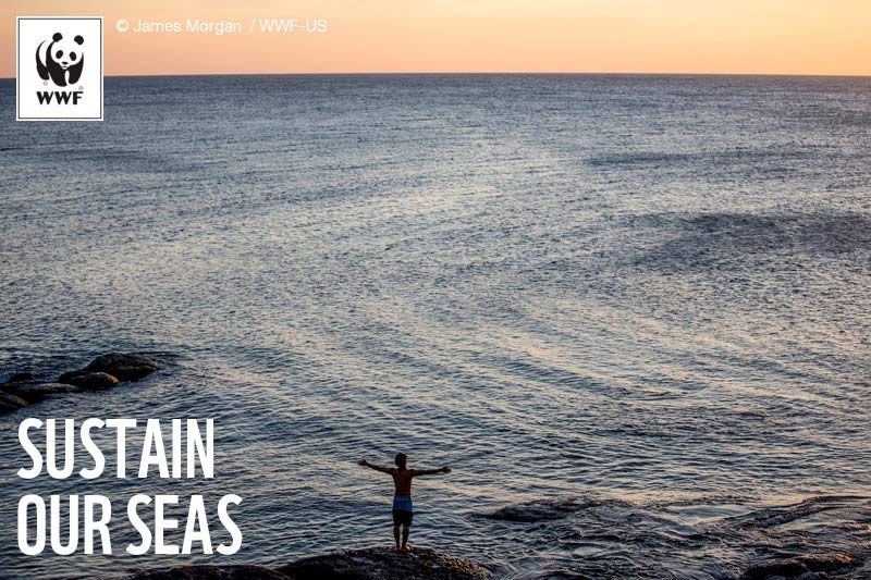 WWF - Sustain our seas